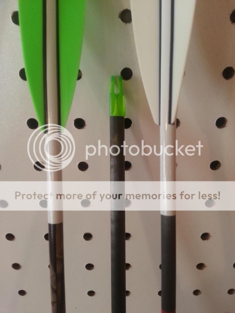 fletching color | Archery Talk Forum