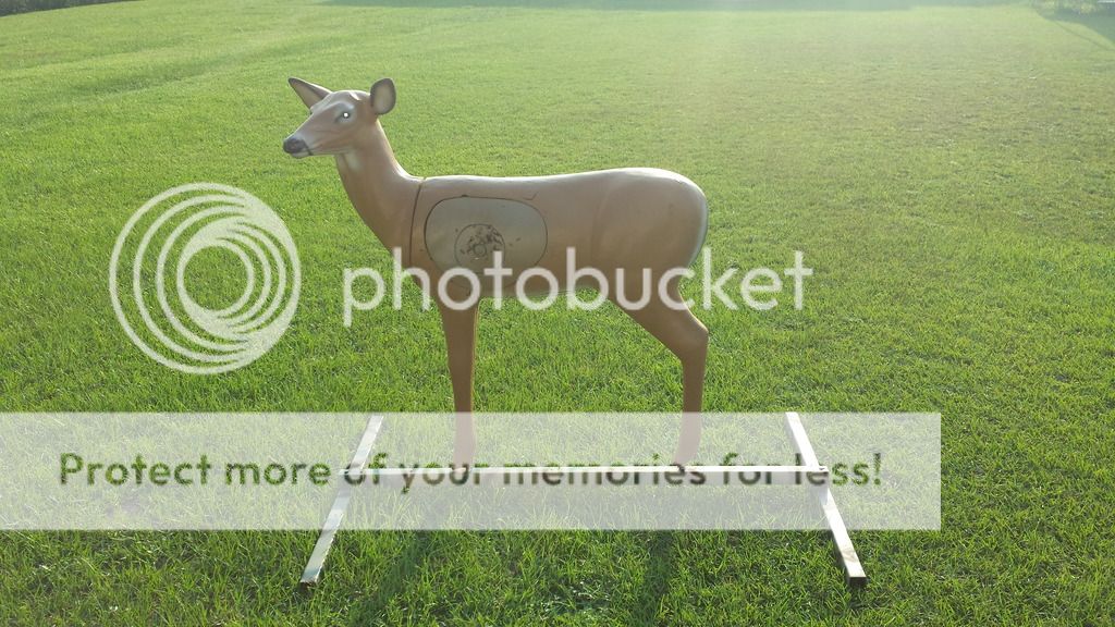 3-D Target Stand | Archery Talk Forum