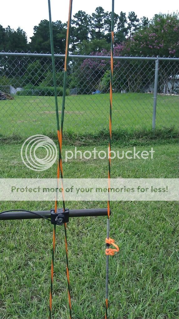 lets see your custom bow string colors! | Archery Talk Forum