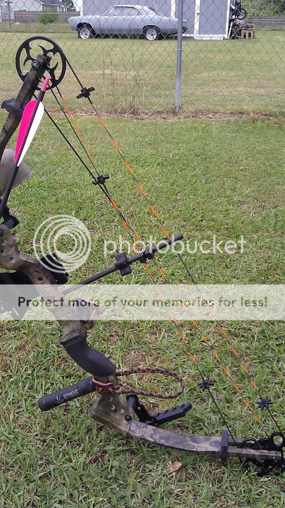 lets see your custom bow string colors! | Archery Talk Forum