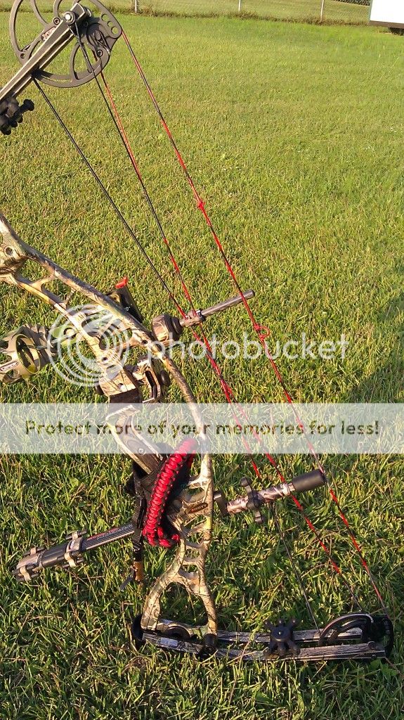 Hoyt Alphamax 32? | Archery Talk Forum