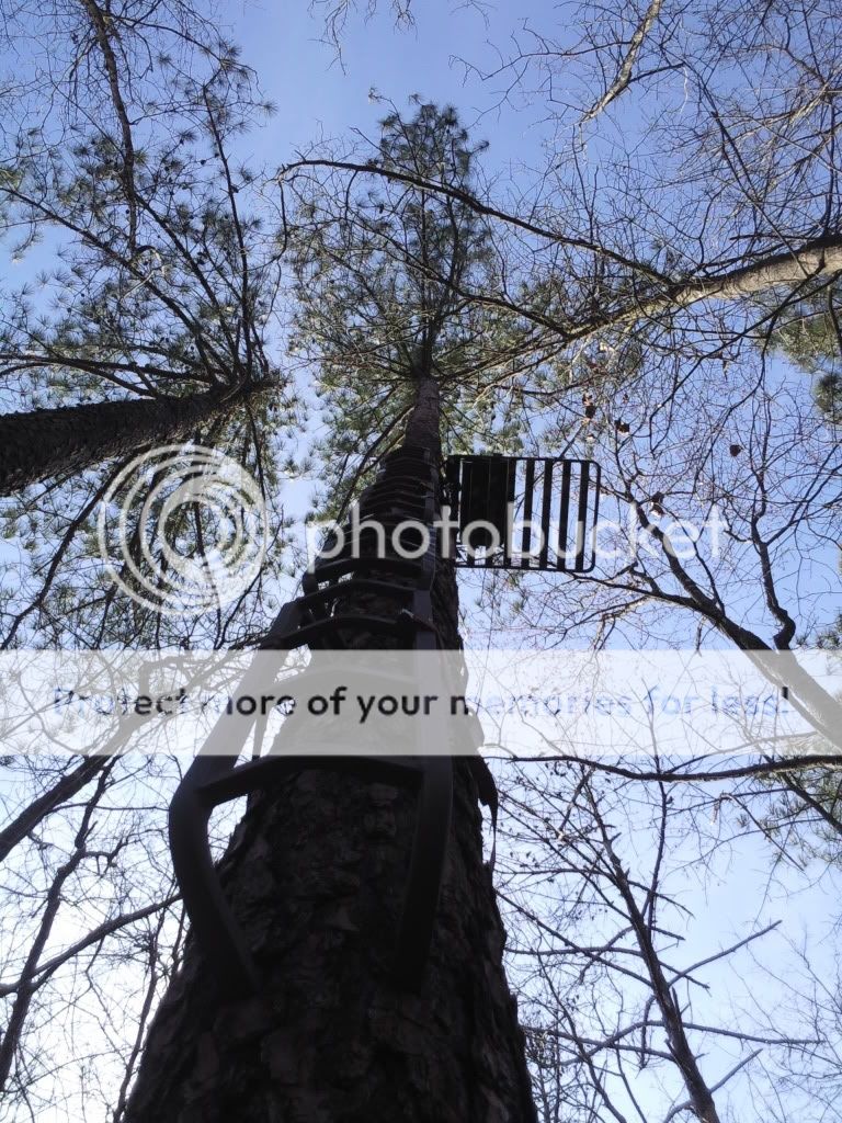 Lone Wolf climbing sticks vs API rapid rails | Archery Talk Forum