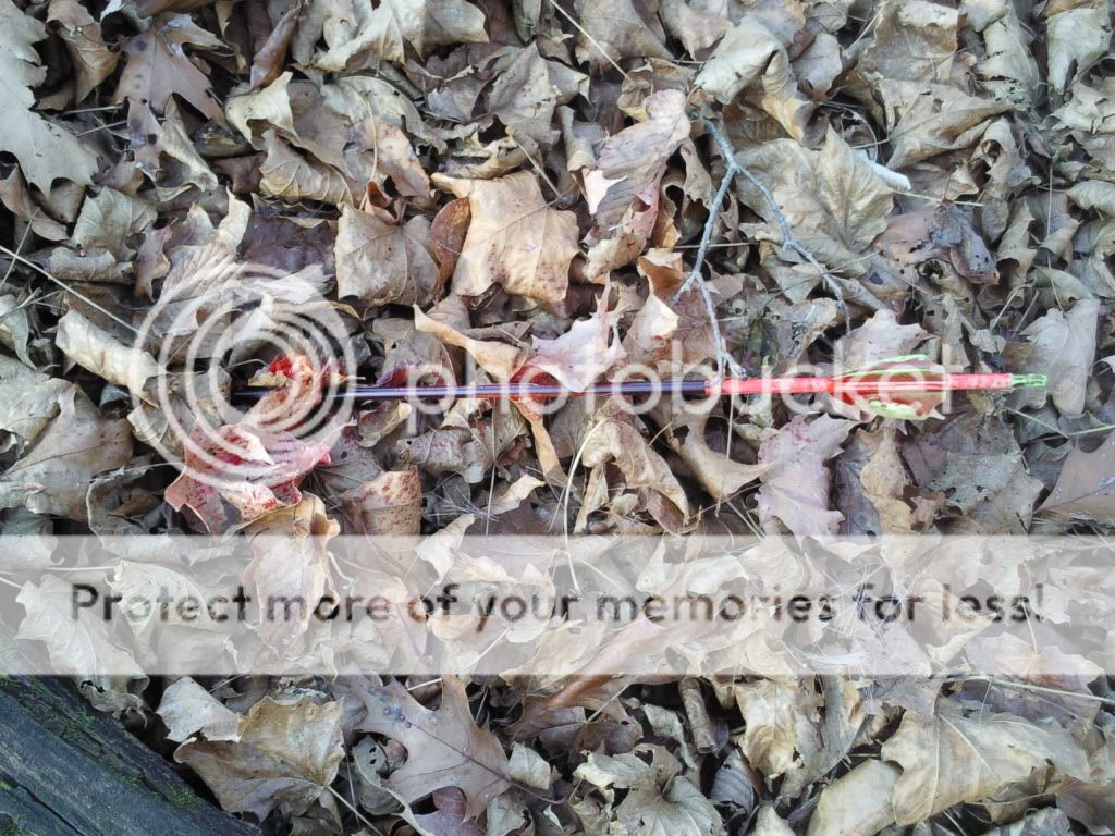 Wrap/Vane Color Combos | Archery Talk Forum